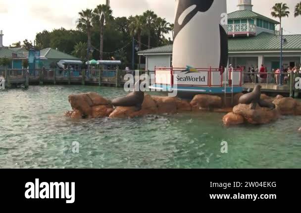 Seaworld adventure park Stock Videos & Footage - HD and 4K Video Clips ...