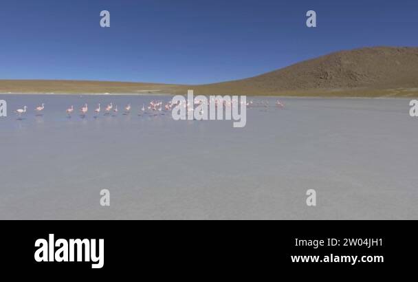 Abaroa Stock Videos & Footage - HD and 4K Video Clips - Alamy