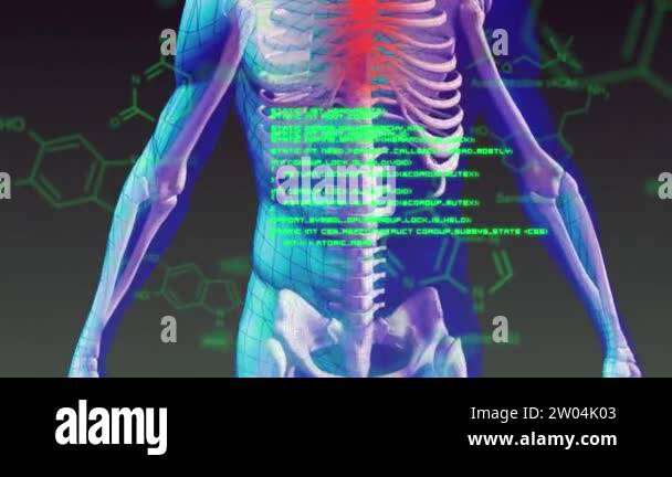 Animation of revolving human body and skeleton with moving digital data ...