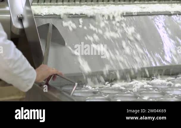 Dairy factory worker processing curd in inox tank. Cheese production ...