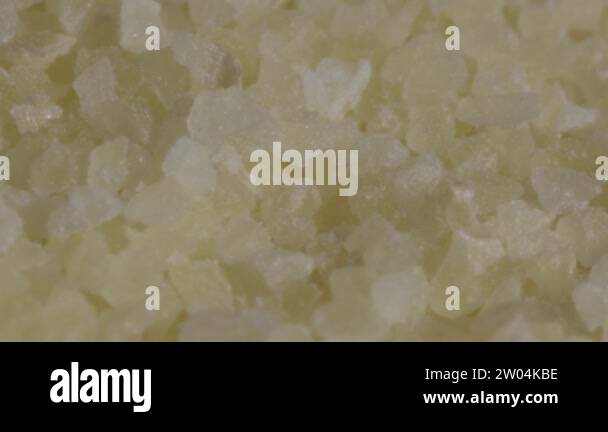 Tiny beetles in semolina. Macro footage with insects in food Stock ...