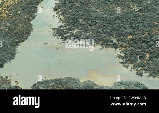 Throwing stone into the petroleum lagoon water. the former dump toxic ...