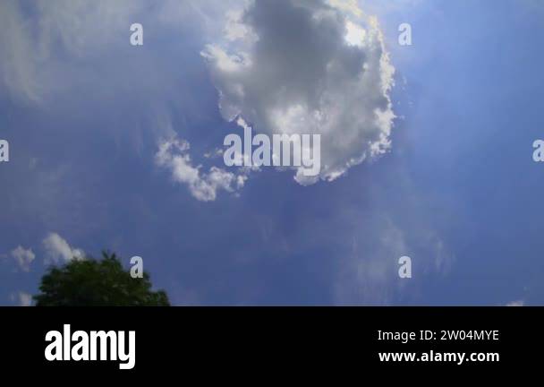 Round cloud against the blue sky and crown of the tree in the frame ...