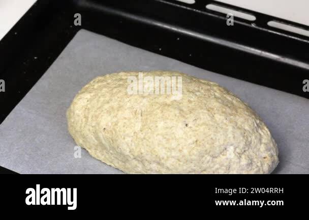 On the baking sheet is a lump of dough made from wholegrain flour. In ...