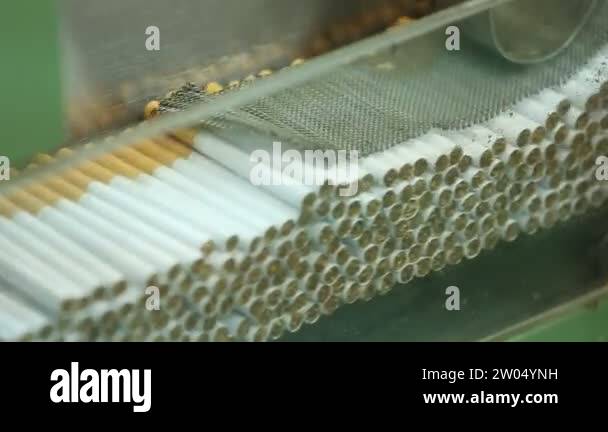 cigarettes are moving down a conveyor belt in a cigarette factory ...