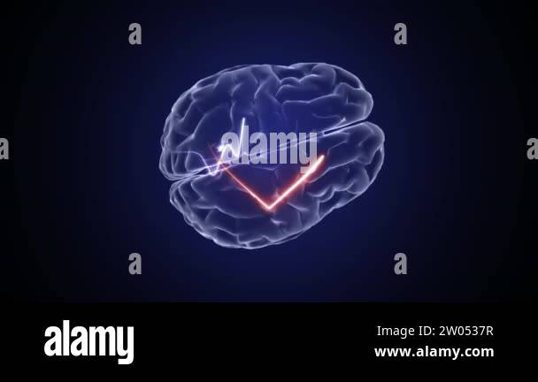 Heart pulse and brain animation 3d. Medical and scientific. Heartbeat background. 4k Stock Video ...