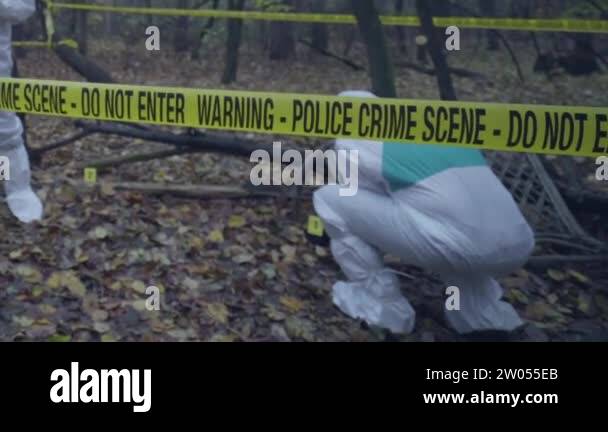 Police examining crime scene in park, murder investigation, collecting ...