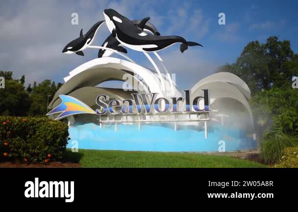 Shark theme logo Stock Videos & Footage - HD and 4K Video Clips - Alamy