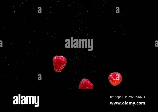 Raspberries falling into transparent water on black background. Fresh ...