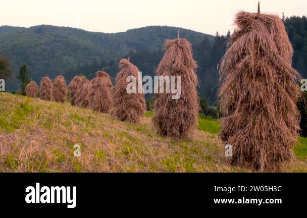 Traditional haystacks in a mountain village, haystack on grass field ...