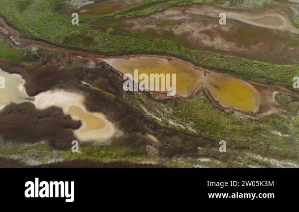 Top view of patterned dirty water from swamp. Shot. Acid brown water ...