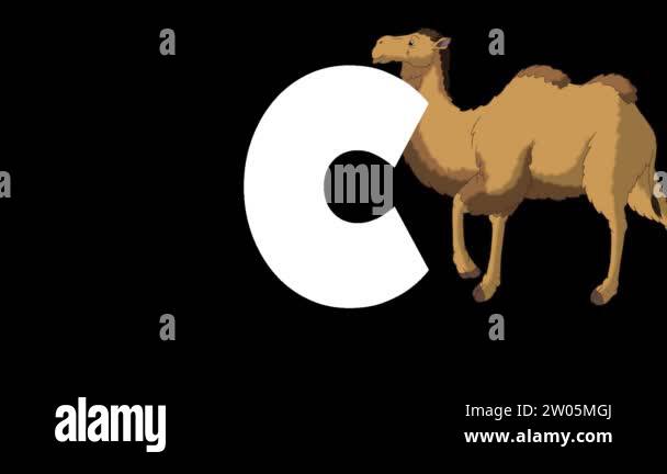 Animated zoological English alphabet. Alpha matte motion graphic ...