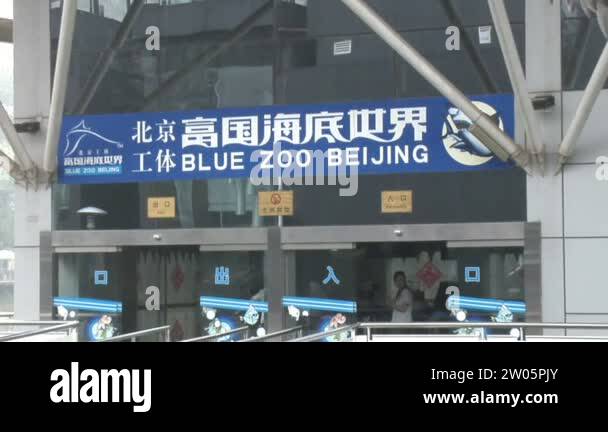 Blue zoo aquarium Stock Videos & Footage - HD and 4K Video Clips - Alamy