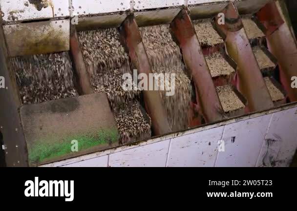 5 types Stock Videos & Footage - HD and 4K Video Clips - Alamy