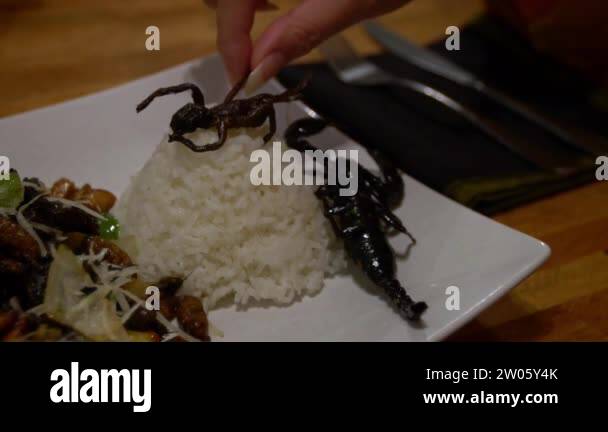 Spider food cambodia Stock Videos & Footage - HD and 4K Video Clips - Alamy
