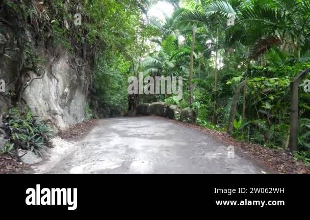 Walking down curved paved road in Ocho Rios with concrete posts and ...