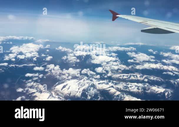 European red wing Stock Videos & Footage - HD and 4K Video Clips - Alamy