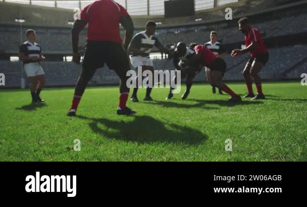 Front view of diverse rugby players playing rugby match in stadium ...