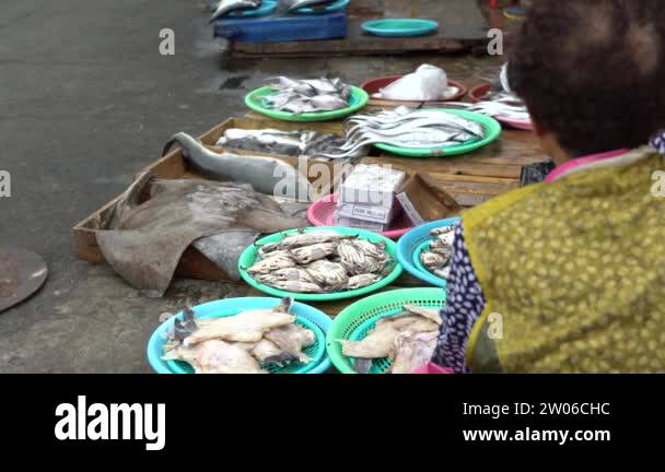 4K, South Korean Seller Selling Shark, Manta ray and Fishes In Jagalchi ...