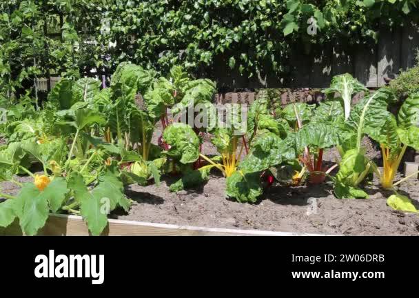 Square meter garden Stock Videos & Footage - HD and 4K Video Clips - Alamy