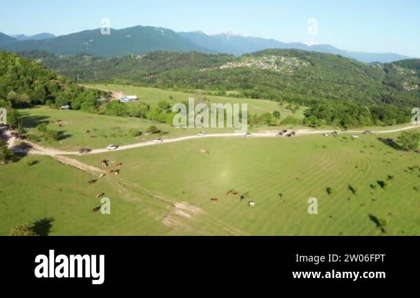Shooting range road Stock Videos & Footage - HD and 4K Video Clips - Alamy