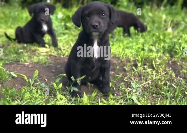 Lens and climb Stock Videos & Footage - HD and 4K Video Clips - Alamy