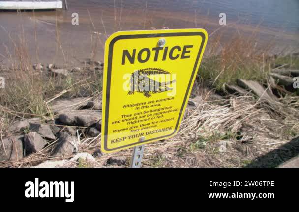 Cape danger Stock Videos & Footage - HD and 4K Video Clips - Alamy