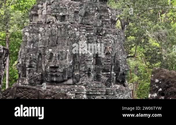 4k, macaque climbing a face tower at Angkor Thom Bayon. Group of monkey ...