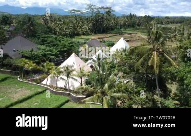 quadrocopter takes off near the pyramids chi in Ubud Bali, palm trees ...
