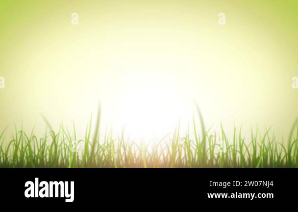 Grass Leaves On Beautiful Sky Background Loop/ 4k animation of a ...