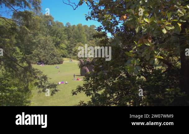 Green duke Stock Videos & Footage - HD and 4K Video Clips - Alamy