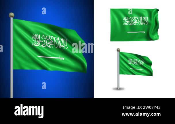 Saudi stand Stock Videos & Footage - HD and 4K Video Clips - Alamy