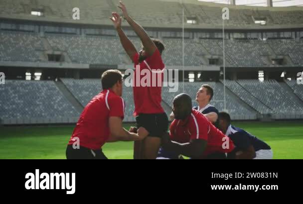 Side view of diverse rugby players playing rugby match in stadium. They ...