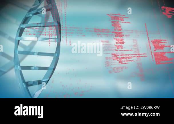 Digitally generated animation of DNA double helix rotating while ...