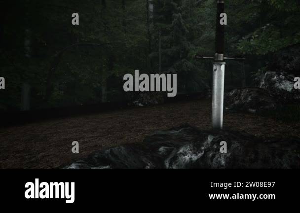 Medieval Iron Sword Stuck Inside a Rock in a Forest Stock Video Footage ...