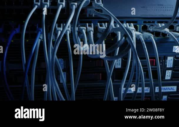 Close-up Macro Shot: Ethernet Cables Connected to Router Ports. Telecommunications: RJ45 Device ...