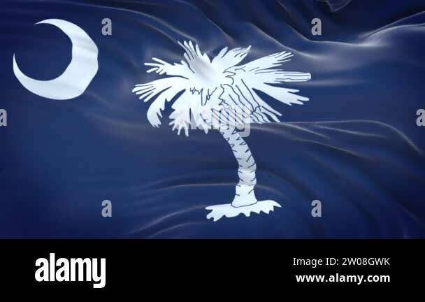 South Carolina (U.S. state) flag with highly detailed fabric texture ...