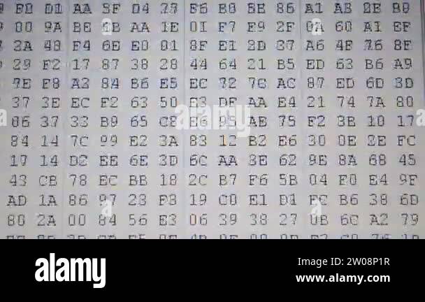 Code On The Monitor Binary Code And Background Binary Hexadecimal Program Code On Screen