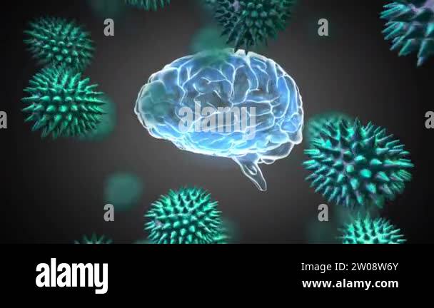 Full view of a human brain that rotates to the left, pollen allergens ...