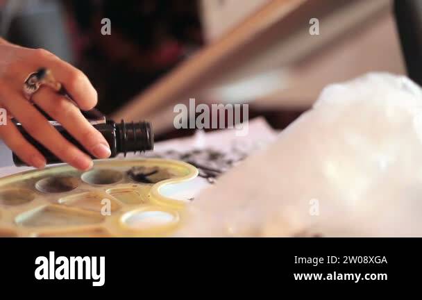 Portrait variation Stock Videos & Footage - HD and 4K Video Clips - Alamy