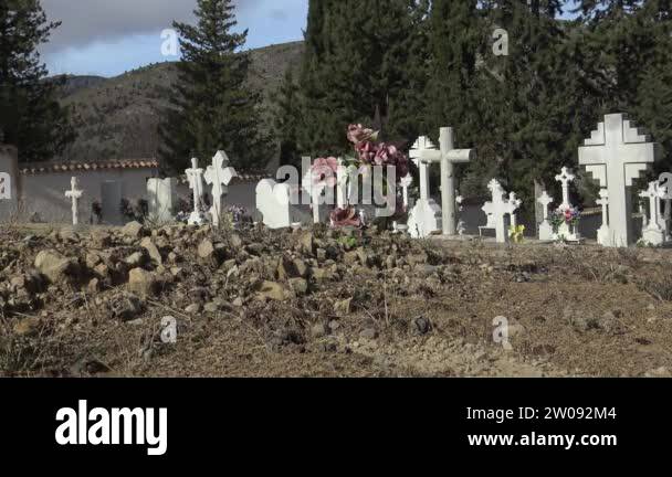 4K Tumbs In A Cemetery with headstone, old white cross and cypress tree ...