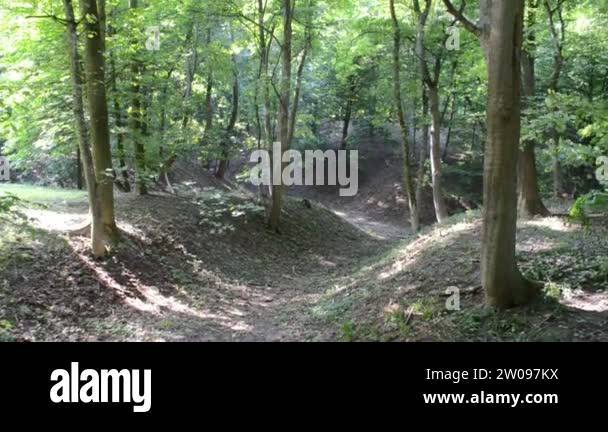 Green gully reserve Stock Videos & Footage - HD and 4K Video Clips - Alamy