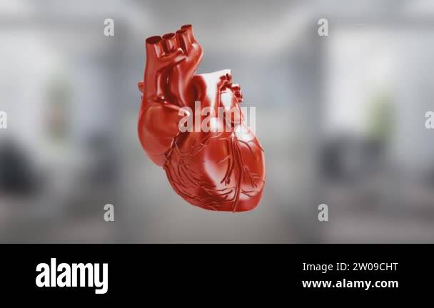 3d circulatory system Stock Videos & Footage - HD and 4K Video Clips ...