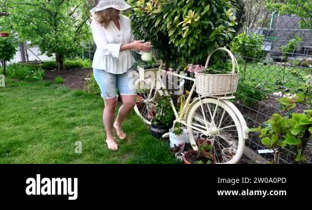 Provence grass Stock Videos & Footage - HD and 4K Video Clips - Alamy