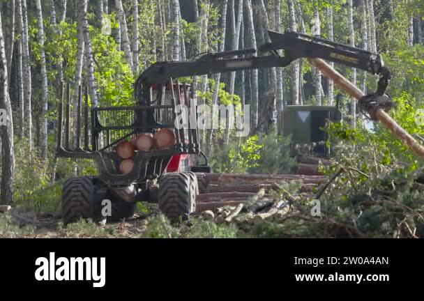 Timber loading, timber processing, deforestation, timber loading with a ...
