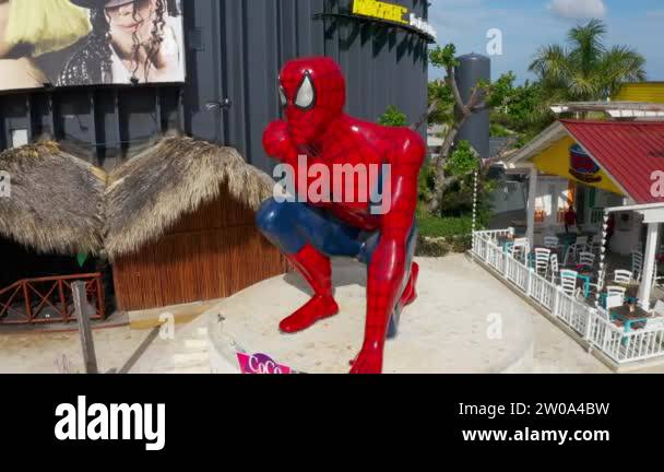 Spider man punta cana Stock Videos & Footage - HD and 4K Video Clips ...