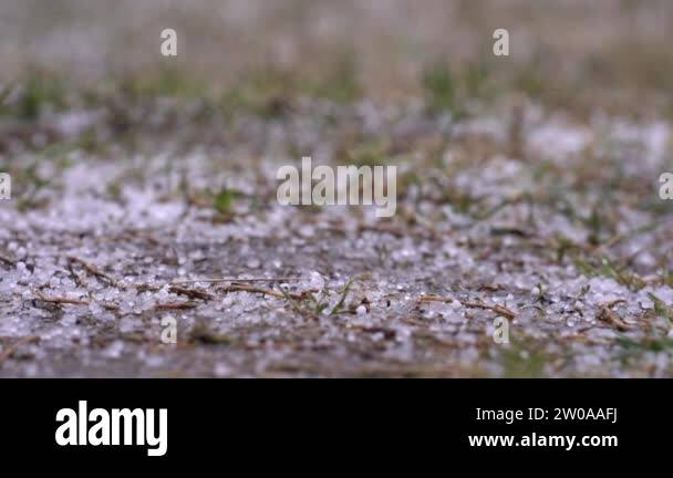 Hail balls on grass Stock Videos & Footage - HD and 4K Video Clips - Alamy