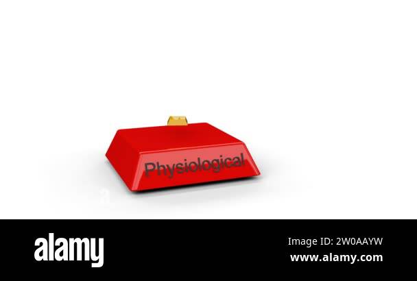 Animation the concept of Psychologist Abraham Maslows Hierarchy of ...