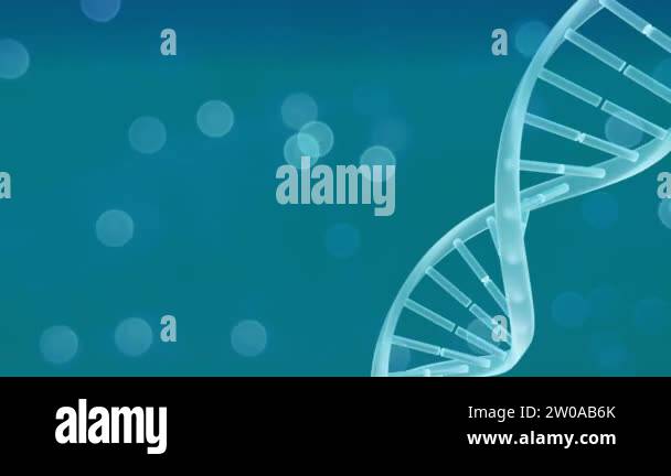 Digital Animation Of Dna Double Helix Rotating On The Right Side Of The