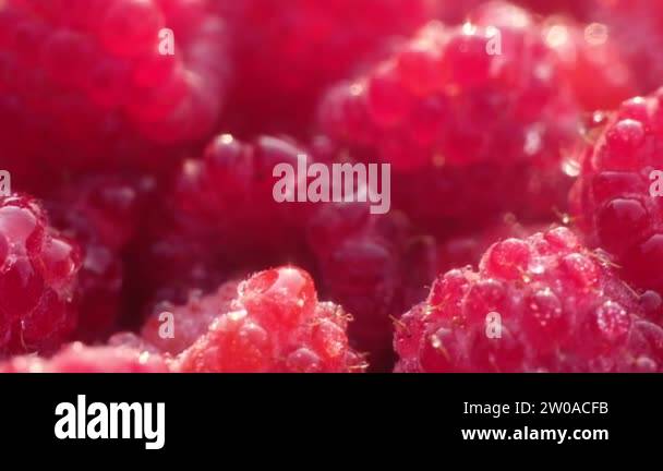Raspberries in drops Stock Videos & Footage - HD and 4K Video Clips - Alamy